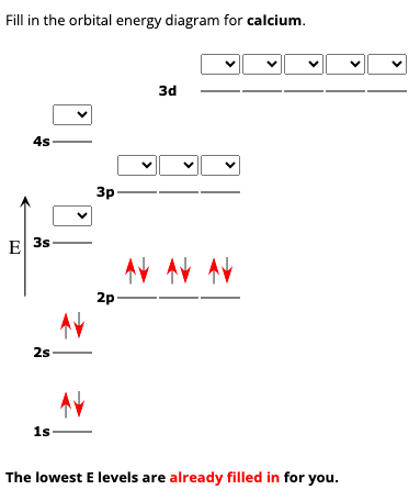 Solved Complete the following table. Fill in the orbital | Chegg.com