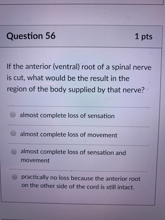 Solved Question 56 1 pts If the anterior (ventral) root of a | Chegg.com