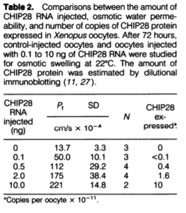 CHIP repeat-2 CHIP repeat-1 00000-COOH HẠNH RBC | Chegg.com