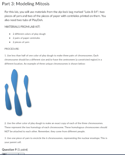 Solved Part 3: Modeling Mitosis For this lab, you will use | Chegg.com