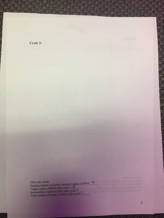 Solved Polymerase Chain Reaction by the Dolan DNA Learning | Chegg.com