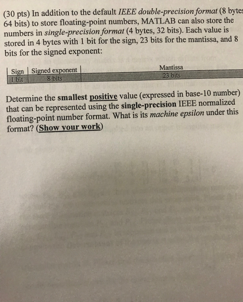 Solved (30 pts) In addition to the default IEEE | Chegg.com