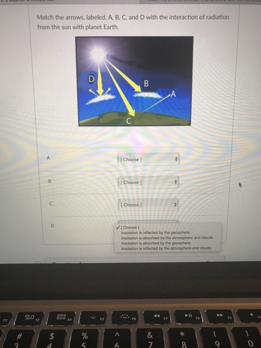 Solved Match the arrows, labeled, A, B, C, and D with the | Chegg.com