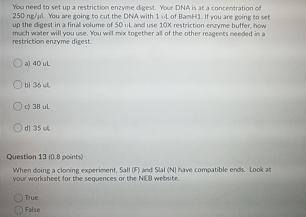 Solved Question 8 (0.8 points) You need to set up a | Chegg.com