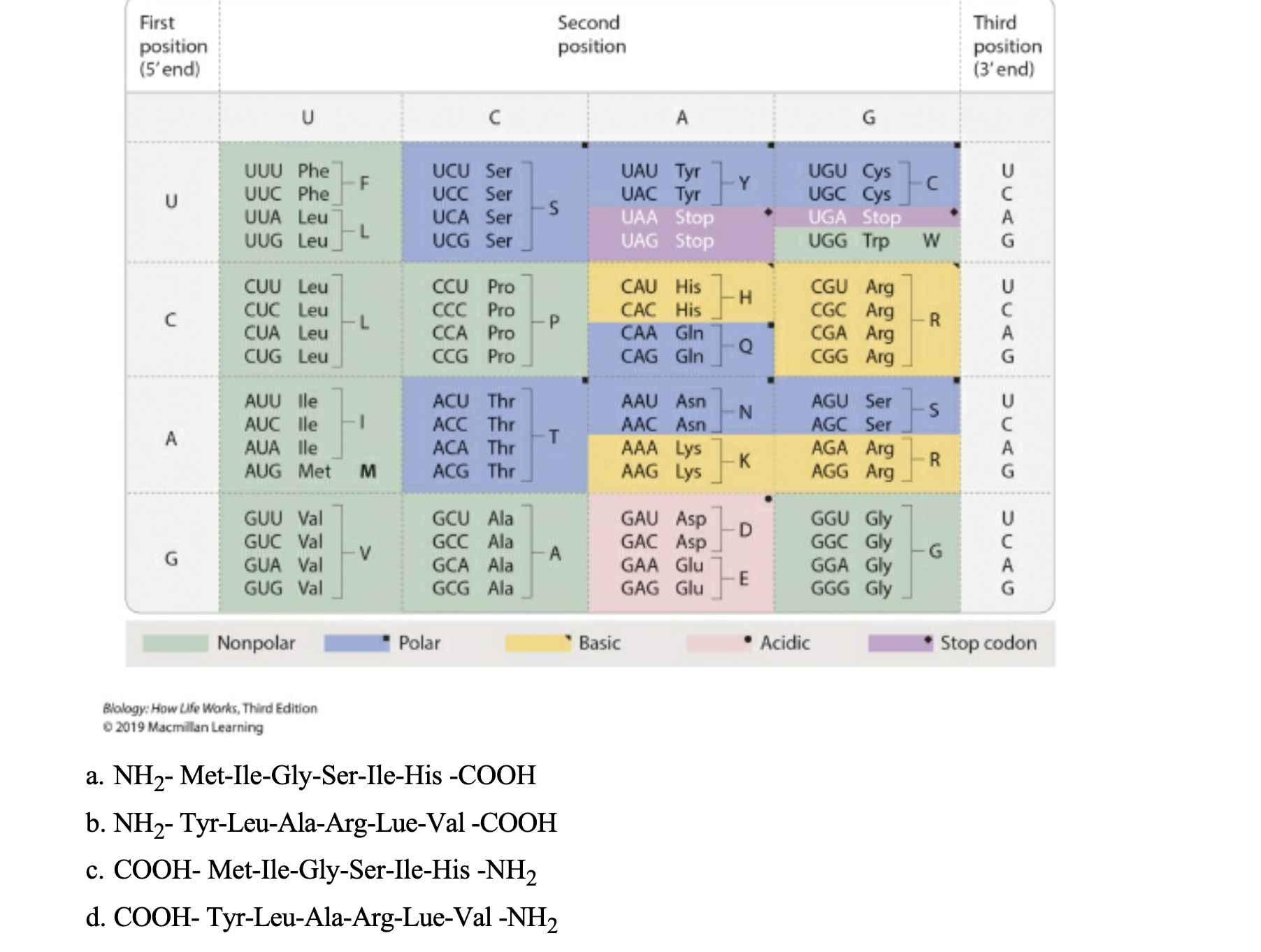 Solved If the RNA transcript 5'-AUGAUCGGAUCGAUCCAU-3' | Chegg.com