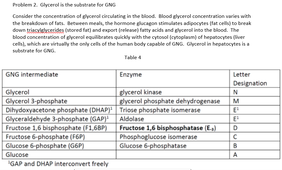 Table 1 GNG intermediates Enzyme Letter designation | Chegg.com