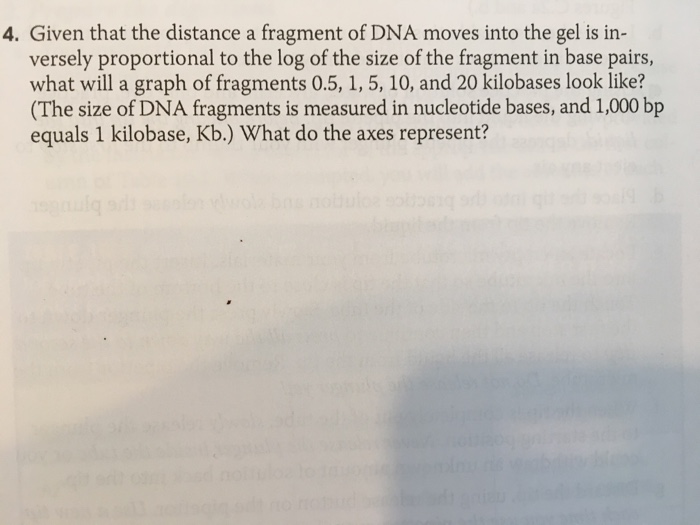 Solved Given that the distance a fragment of DNA moves into | Chegg.com