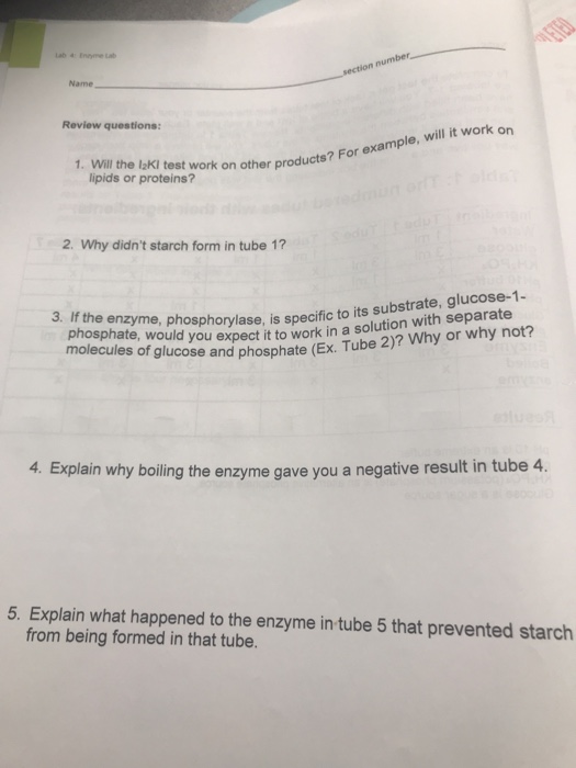 Solved Name number To complete the test get a rack of test | Chegg.com
