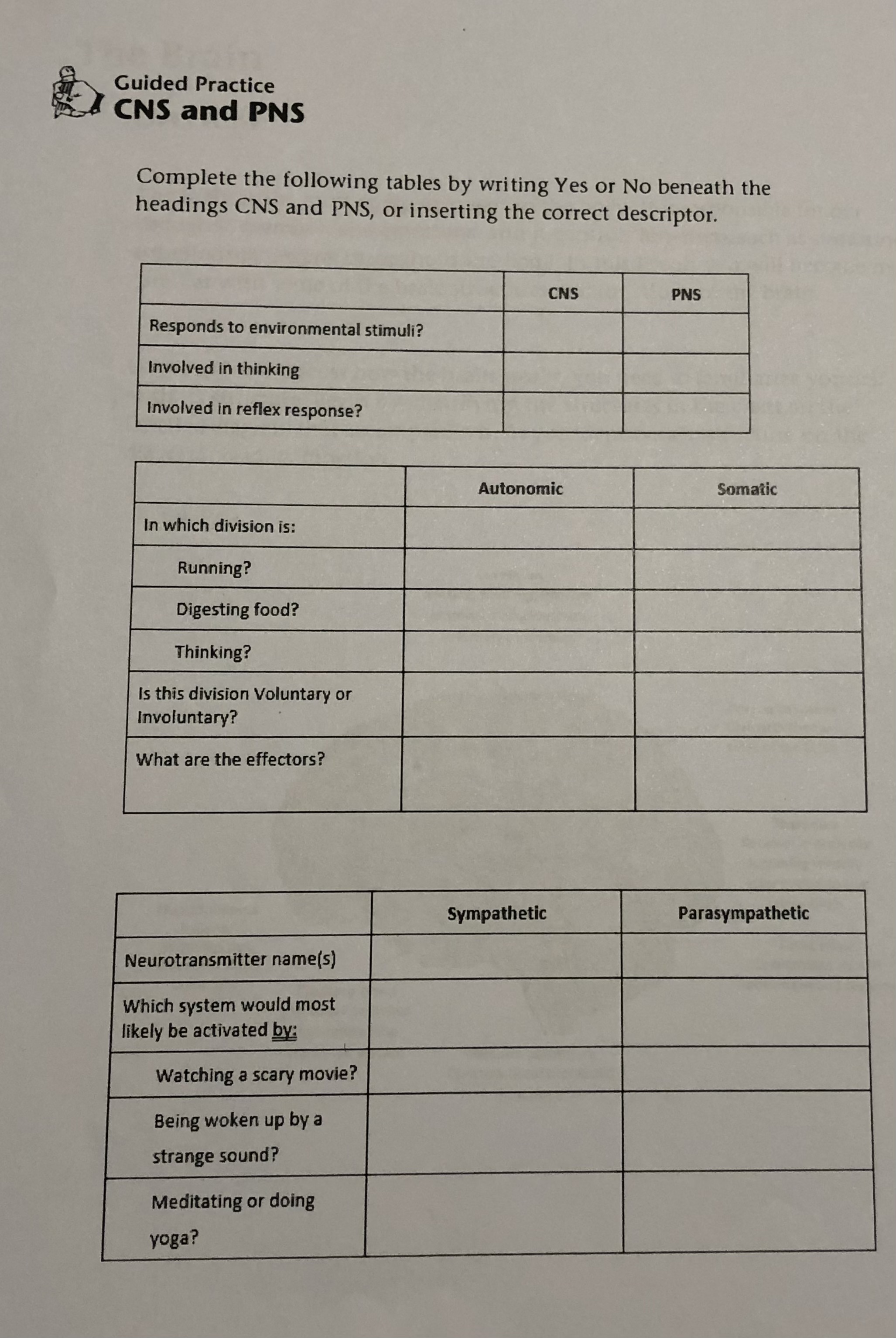 Solved Guided PracticeCNS and PNSComplete the following | Chegg.com