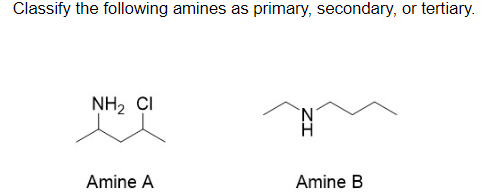Solved Classify the following amines as primary, secondary, | Chegg.com