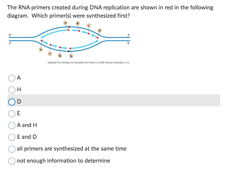 Solved The RNA primers created during DNA replication are | Chegg.com
