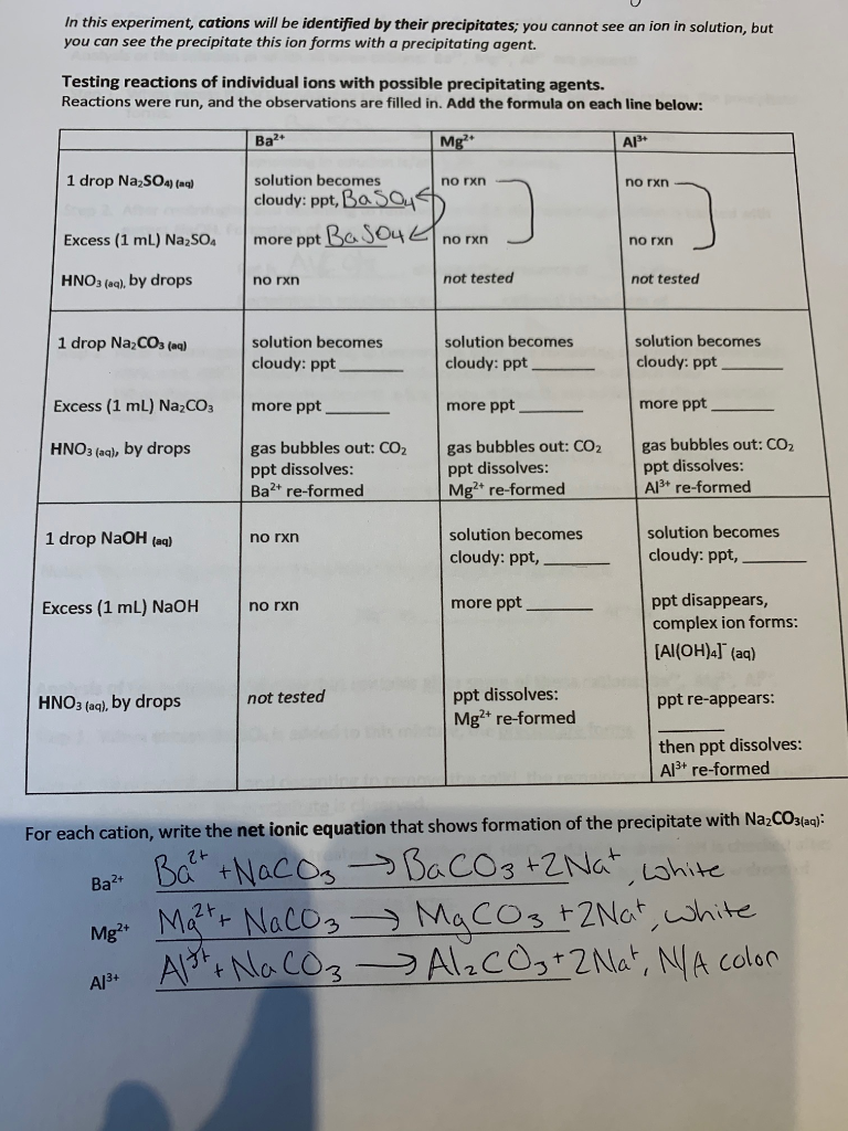 Solved In this experiment, cations will be identified by | Chegg.com