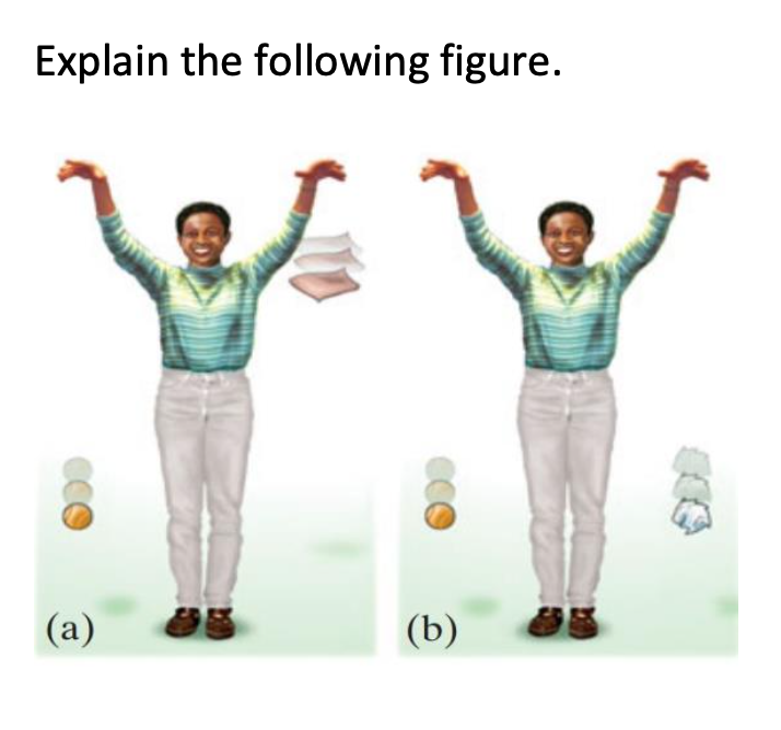 Solved Explain the following figure. (a) (b) | Chegg.com