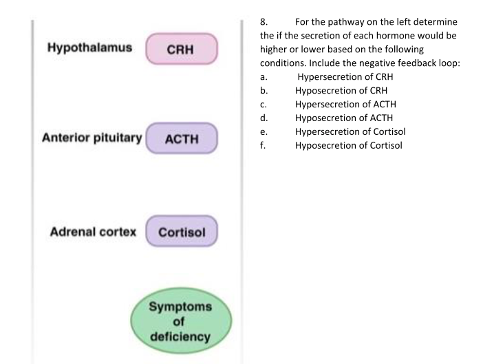 Solved 8 For the pathway on the left determine the if the | Chegg.com