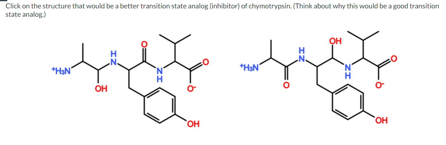 Solved If The Peptide Shown Was A Chymotrypsin Substrate