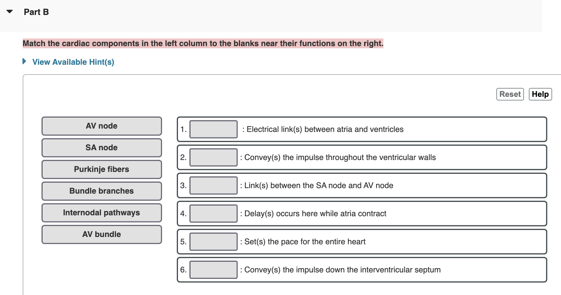 Solved Match The Cardiac Components In The Left Column To Chegg