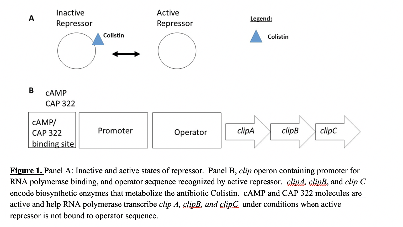 Solved A Inactive Repressor Active Repressor Legend: | Chegg.com