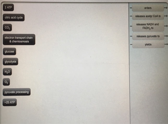 Solved How to Create a Concept Map Design a concept map | Chegg.com