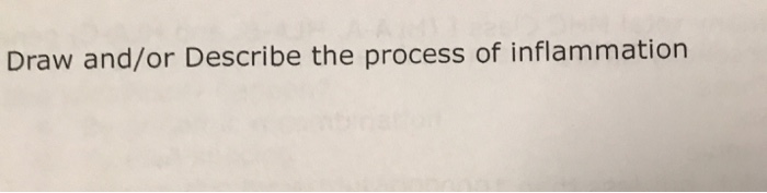 Solved Draw and/or Describe the process of inflammation | Chegg.com