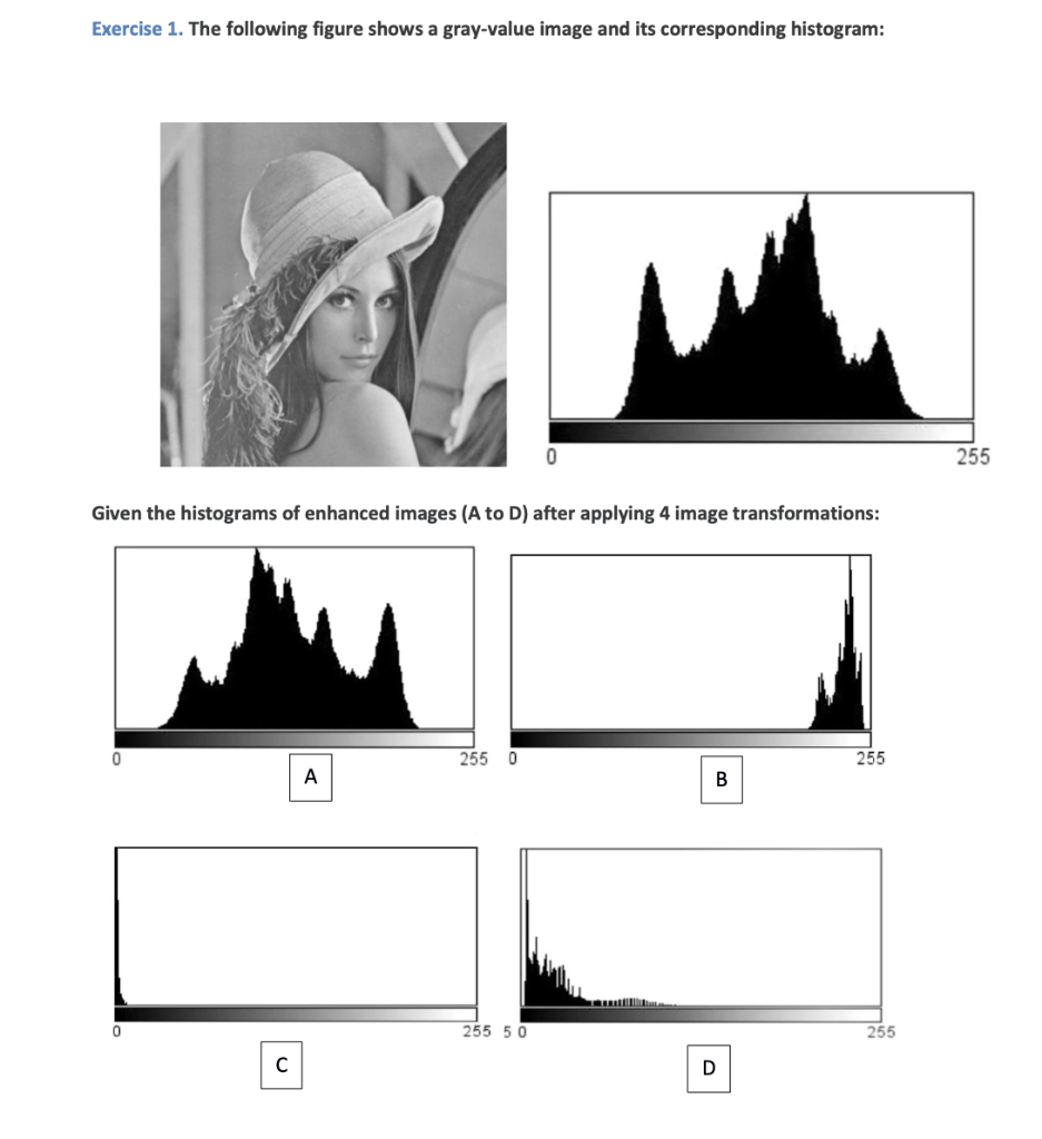 Exercise 1. The following figure shows a gray-value | Chegg.com