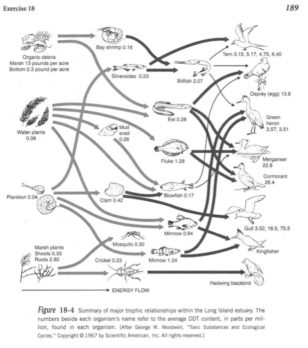 Solved 5. How might you modify the Long Island estuary | Chegg.com