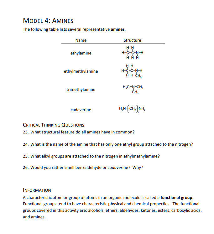 Solved MODEL 4: AMINES The following table lists several | Chegg.com