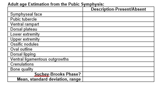 Adult Age Estimation From The Pubic Symphysis 9318