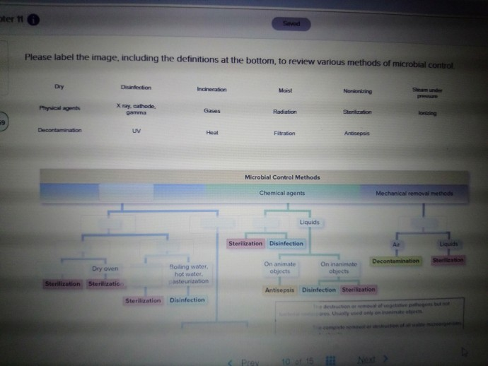 Solved aua Reset ter 1 Please label the image, including | Chegg.com