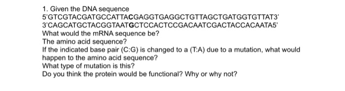 Solved 1. Given the DNA sequence | Chegg.com