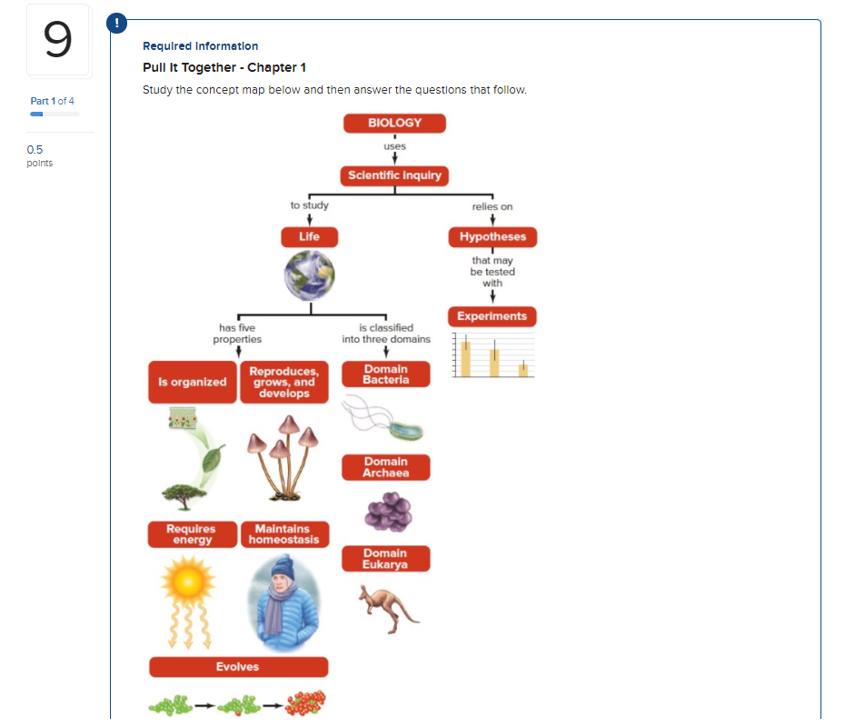 Solved 9 Required Information Pull It Together - Chapter 1 | Chegg.com