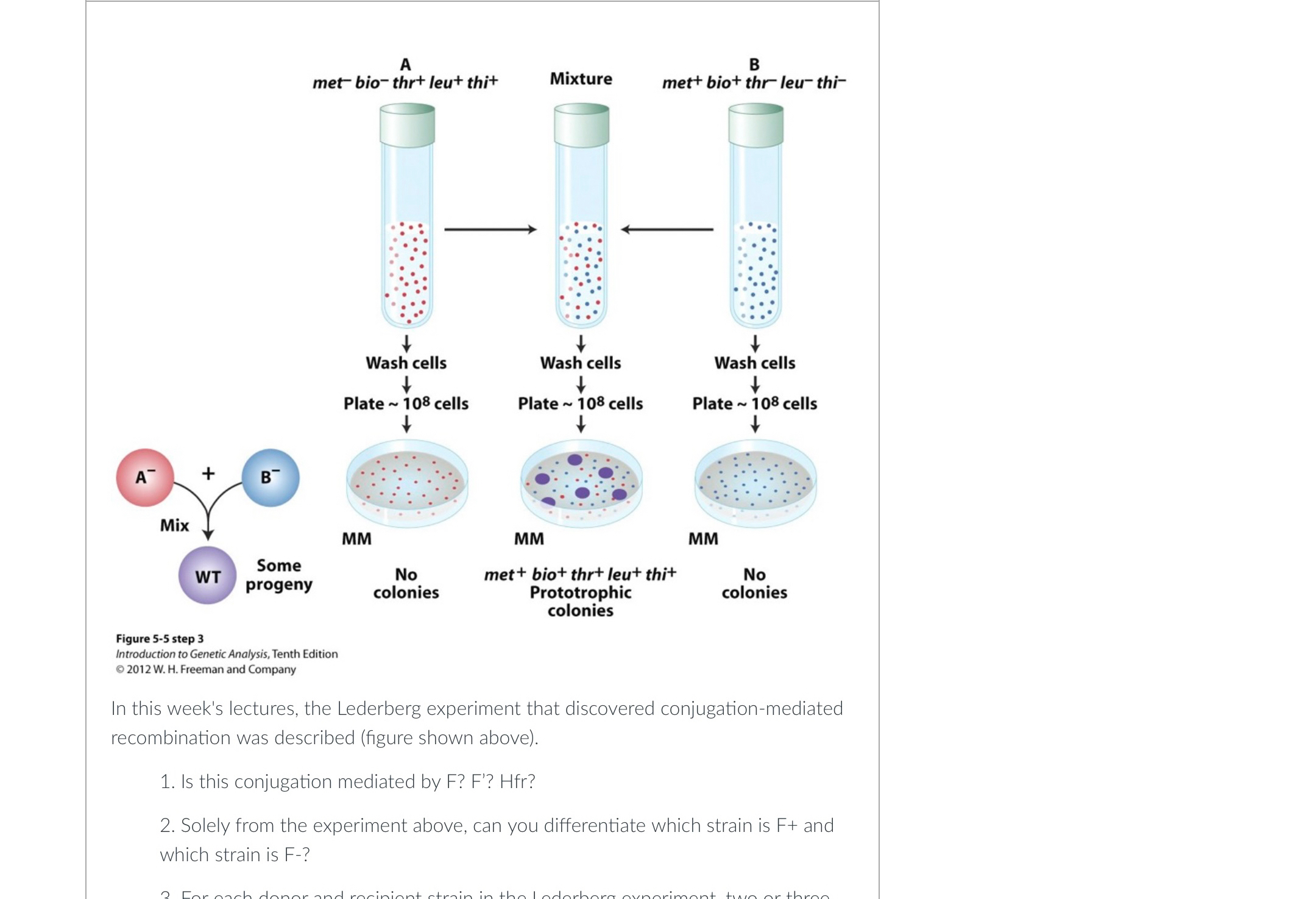 Solved Figure 5-5 ﻿step 3Introduction to Genetic Analysis, | Chegg.com