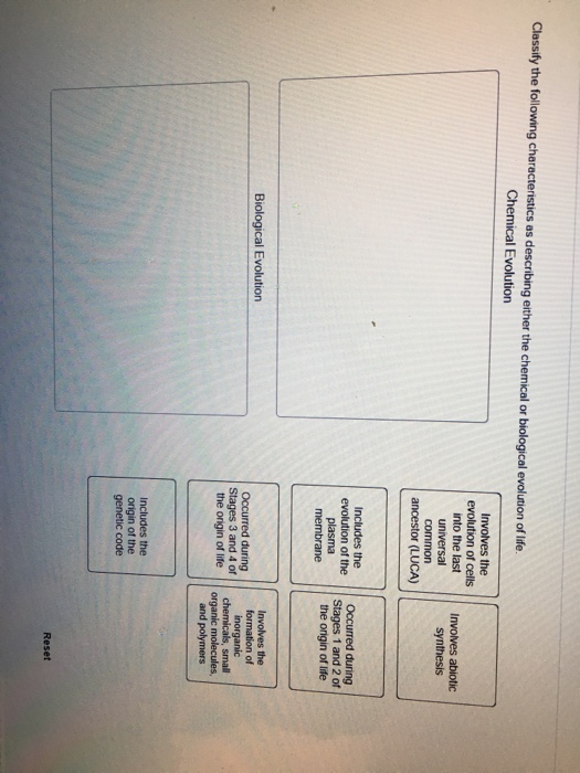Solved Classify the following characteristics as describing | Chegg.com Solved Classify the following characteristics as describing | Chegg.com
