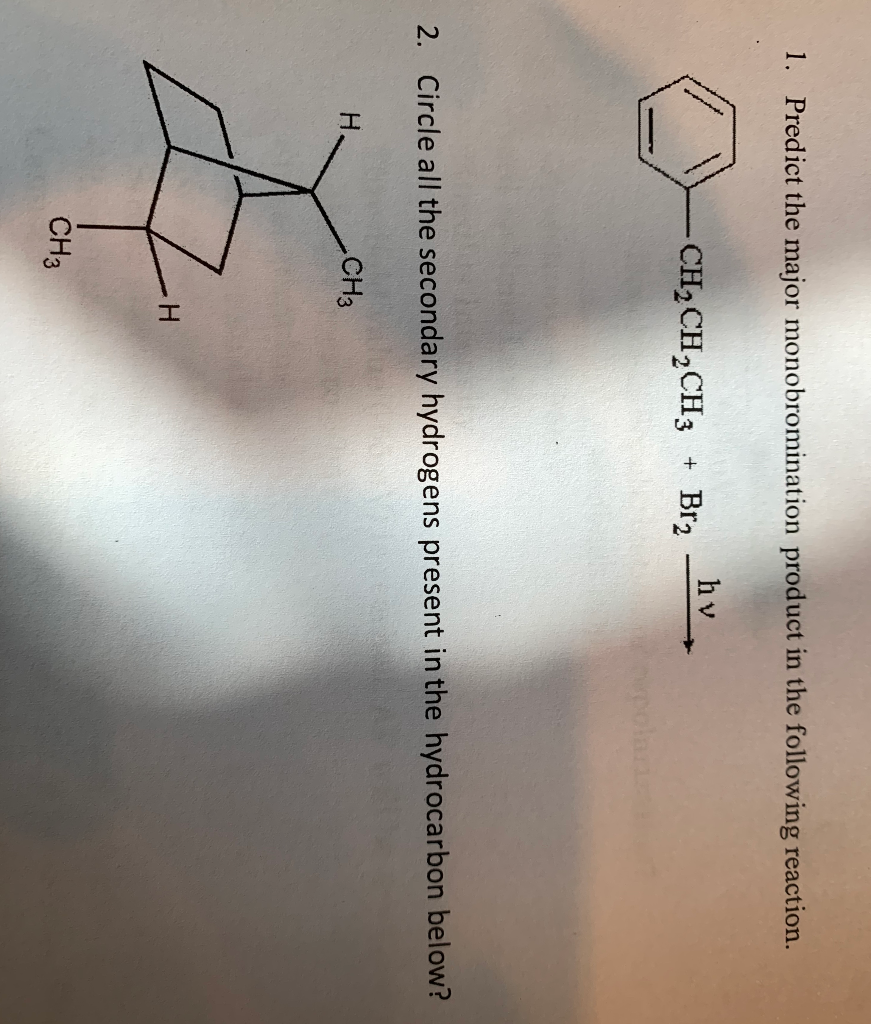 Solved 1. Predict the major monobromination product in the | Chegg.com