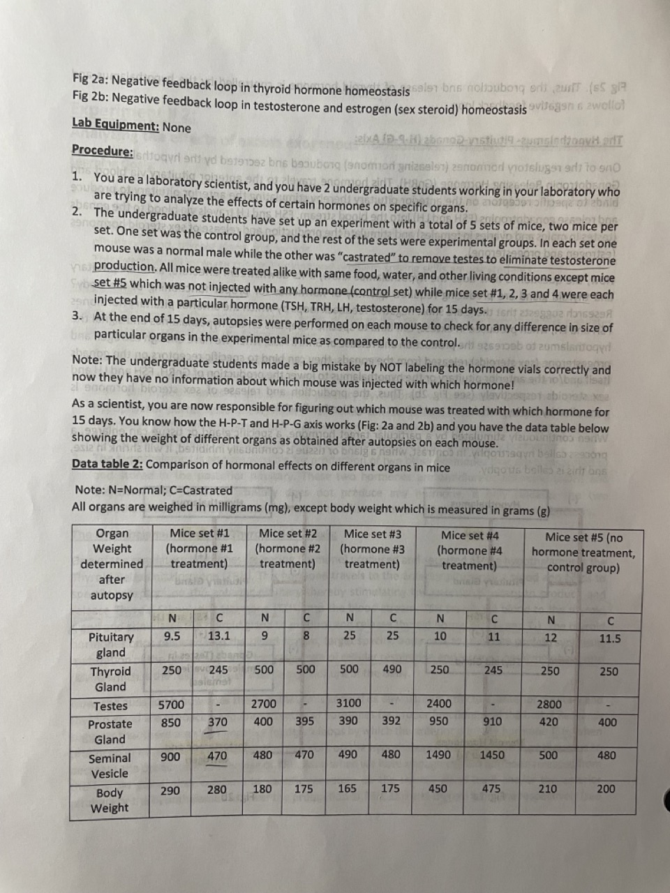 Fig 2a: Negative feedback loop in thyroid hormone | Chegg.com