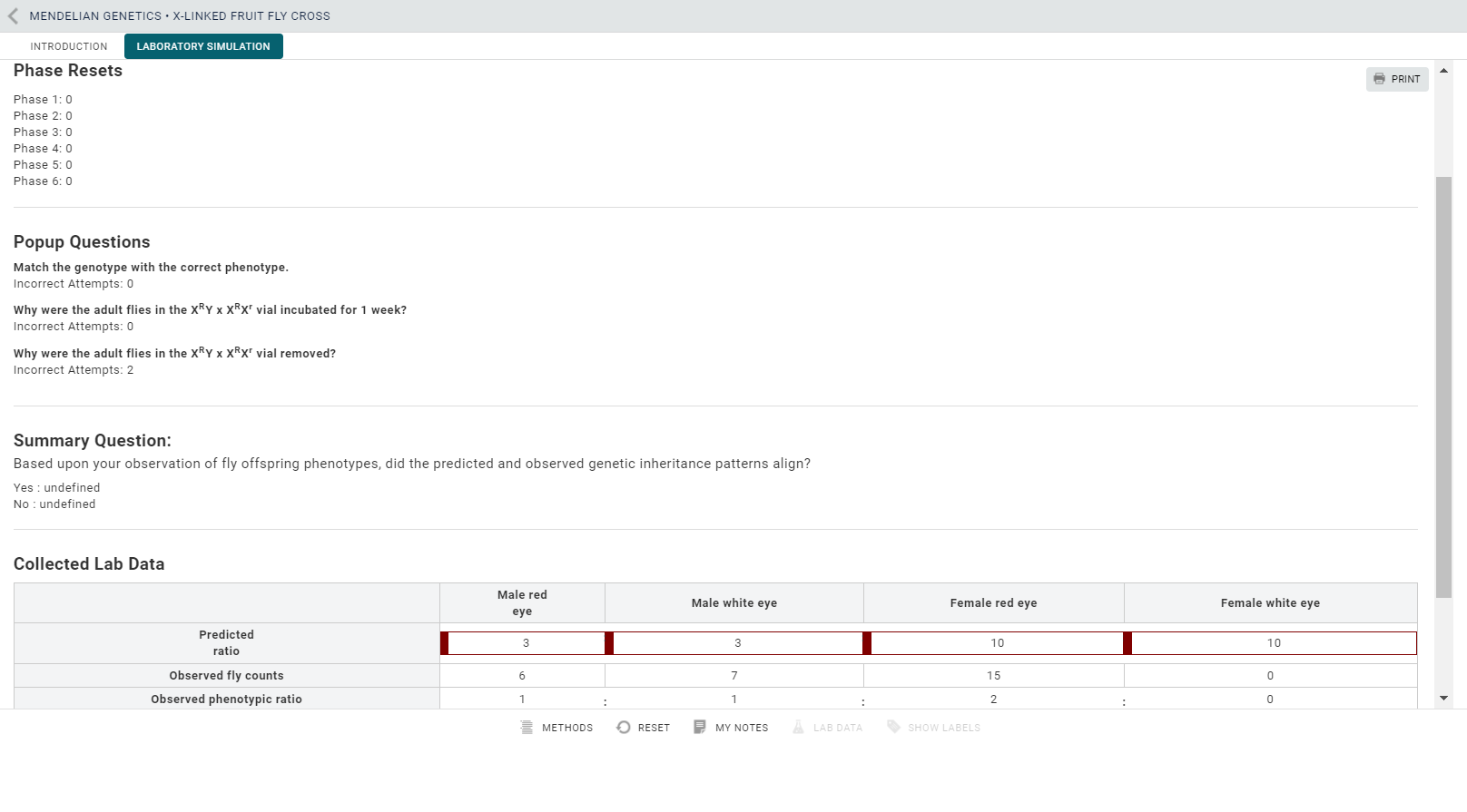 Solved Mendelian Genetics - X-Linked Fruit Fly Cross In | Chegg.com