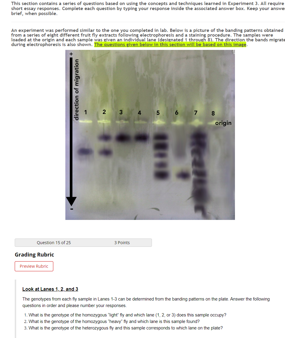 Solved This section contains a series of questions based on | Chegg.com