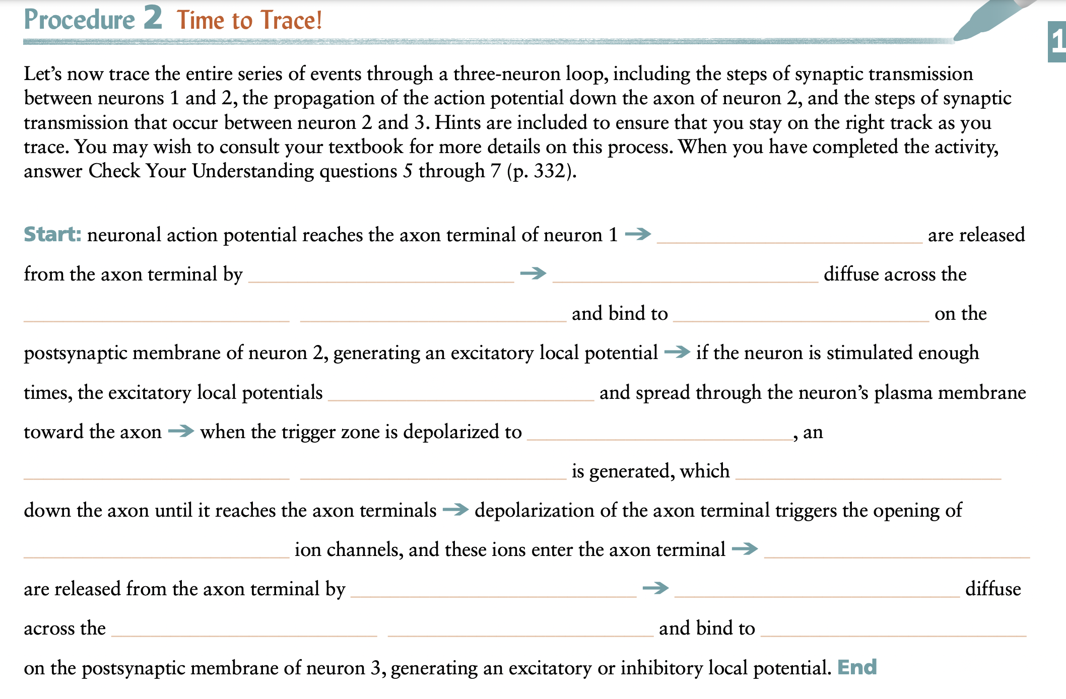Solved Procedure 2 ﻿Time to Trace!Let's now trace the entire | Chegg.com