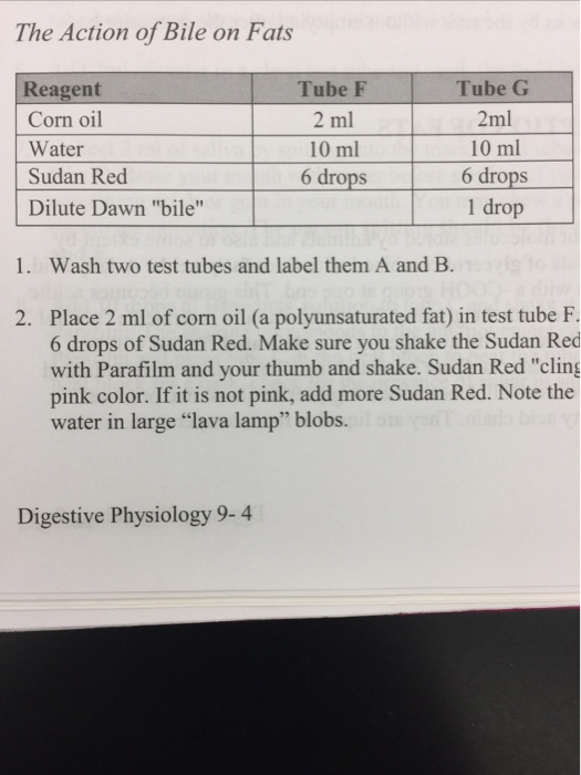 Solved The Action of Bile on Fats Reagent Corn oil Water | Chegg.com