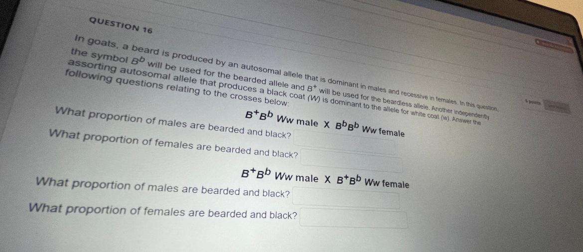 Solved QUESTION 16 in goats, a beard is produced by an | Chegg.com