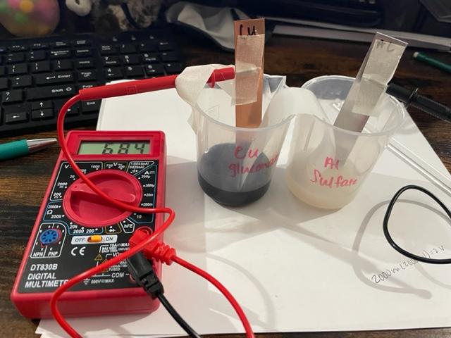 Solved I'm doing a lab with redox reactions and I have to | Chegg.com