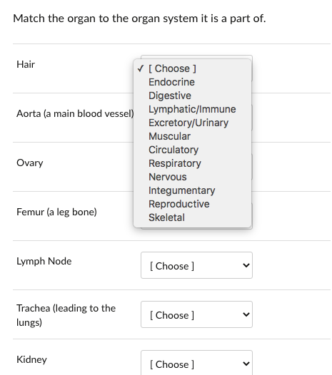 Solved Match the organ system to one primary function. | Chegg.com