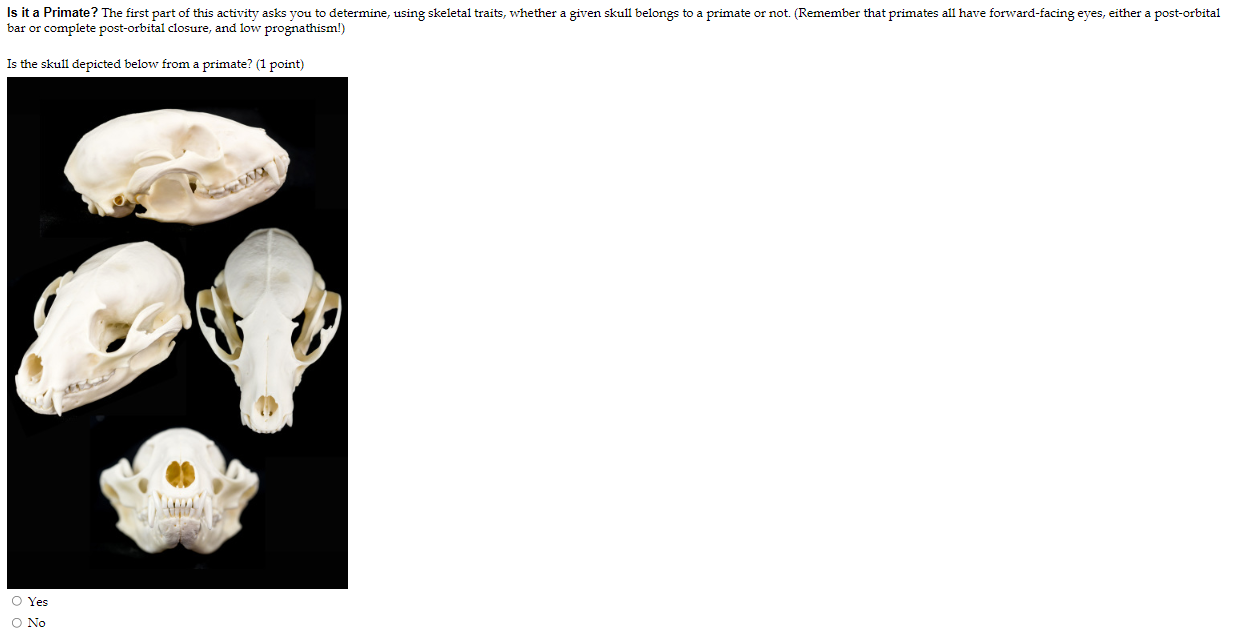 Solved bar or complete post-orbital closure, and low | Chegg.com
