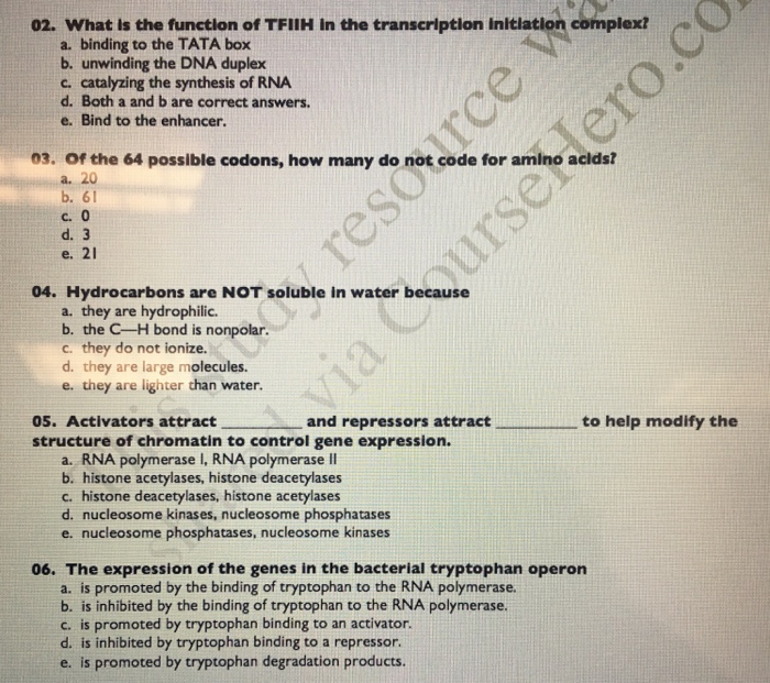 Solved 02. What is the function of TFIIH in the | Chegg.com