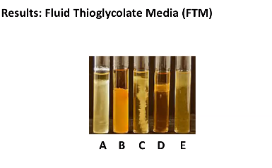 Solved Results: Fluid Thioglycolate Media (FTM) 2. Media | Chegg.com