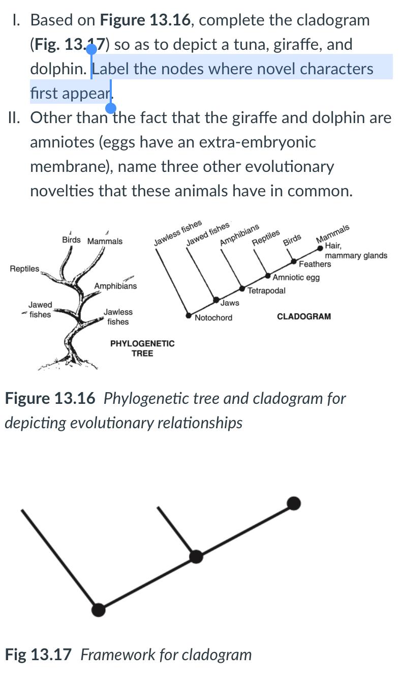 Solved I. Based on Figure 13.16, complete the cladogram | Chegg.com