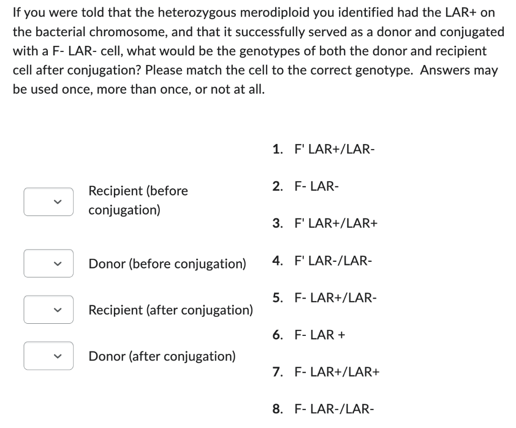 Solved If you were told that the heterozygous merodiploid | Chegg.com