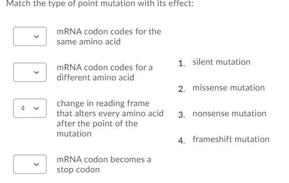 Solved Match the type of point mutation with its effect: | Chegg.com