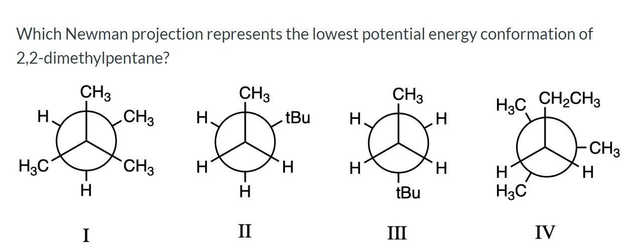 Solved Which Newman projection represents the lowest | Chegg.com