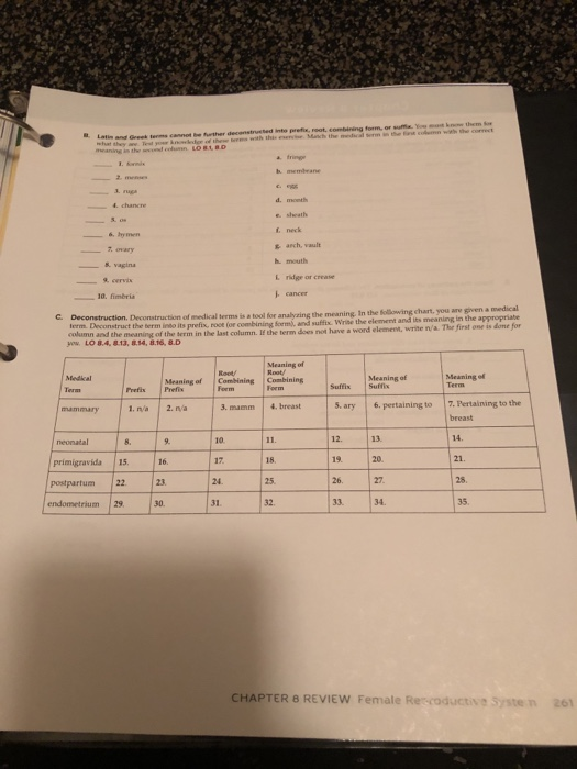 Solved for censtructed into prefix, root, combining form, or | Chegg.com