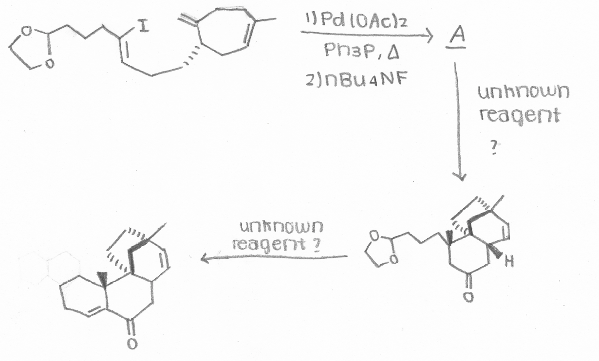 Solved Please identify the missing structure A, as well as | Chegg.com